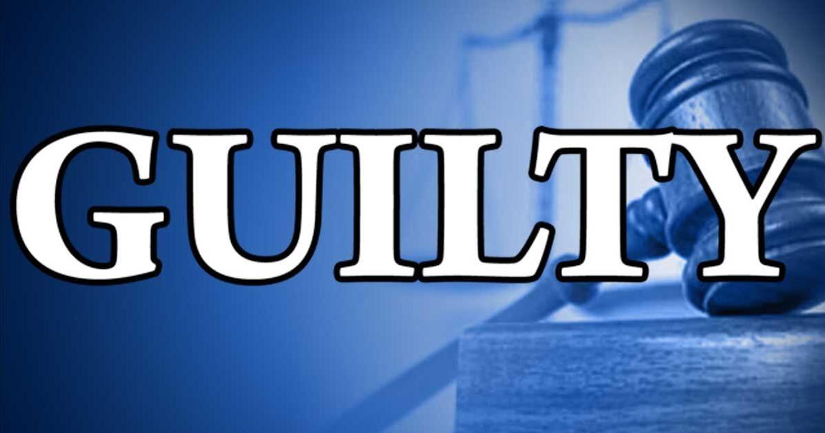 Walton Man Pleads Guilty to Seven Felony Charges | News | wicz.com