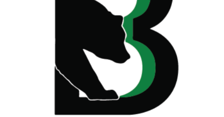 Bears Take Game One of FPHL Semis in Motor City | Binghamton Black ...
