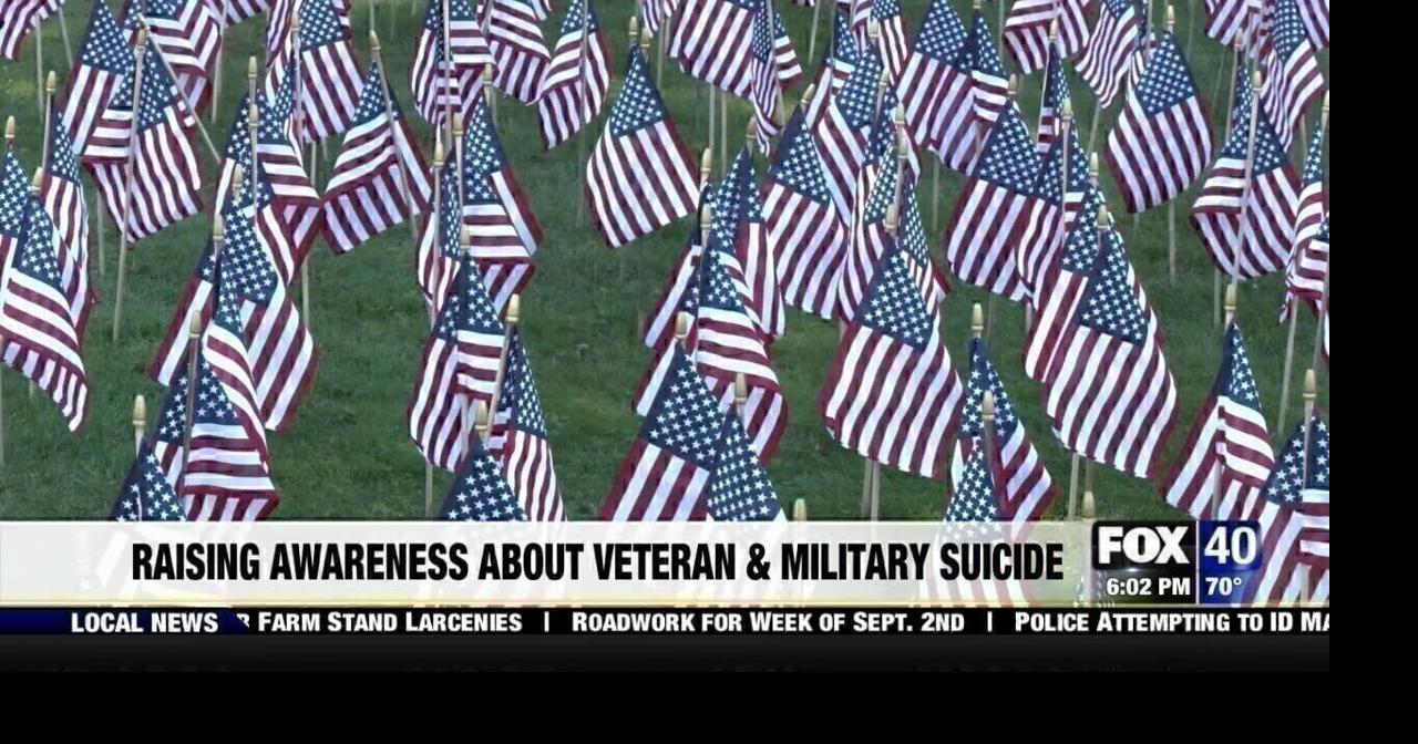 "Field of the Forgotten Fallen" in Owego Honors Those Affected by ...