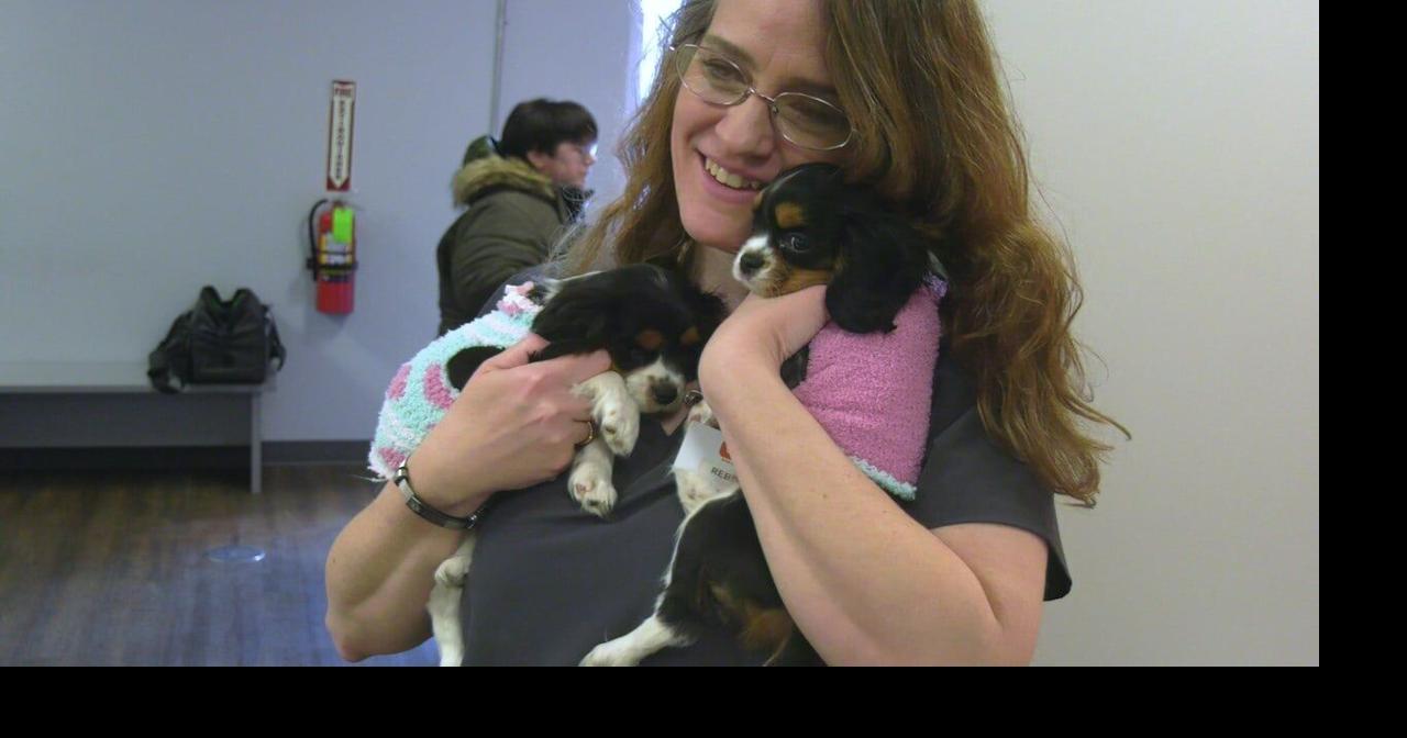New Walk-in Petcare Wellness Center Opens at Vestal Walmart | Video ...