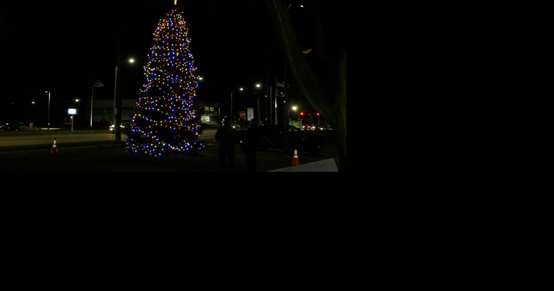 Village of Endicott Lights Up New Community Christmas Tree for First ...