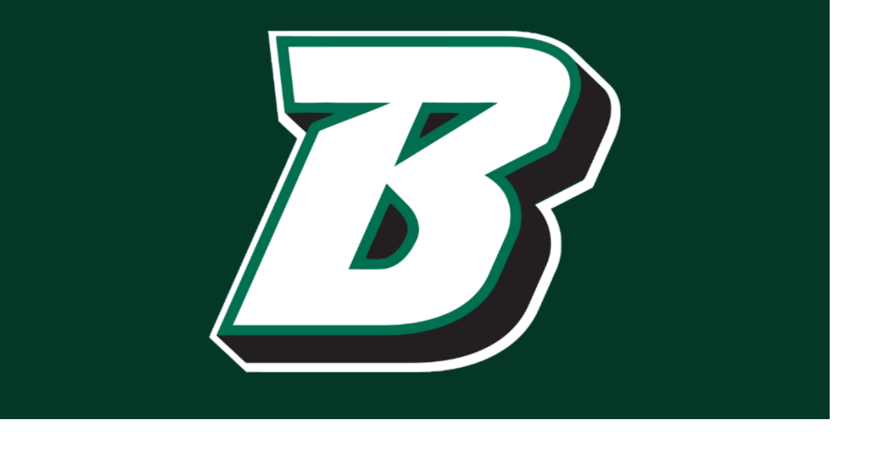 Binghamton University names softball's Carey and baseball's Bolton as ...