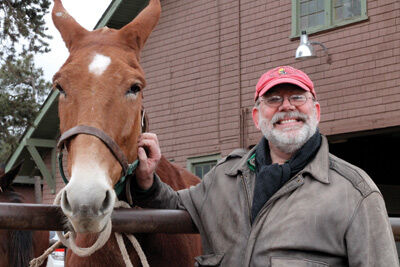 A mule called Ratz: Grand Canyon mule named after El Tovar waiter ...