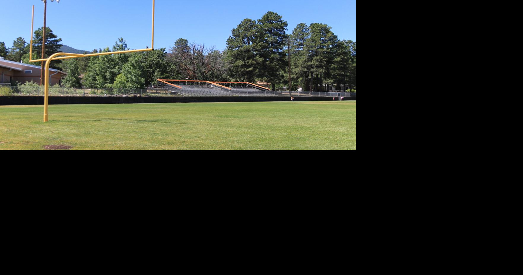 Game changing grant: WUSD to replace grass fields with artificial turf ...