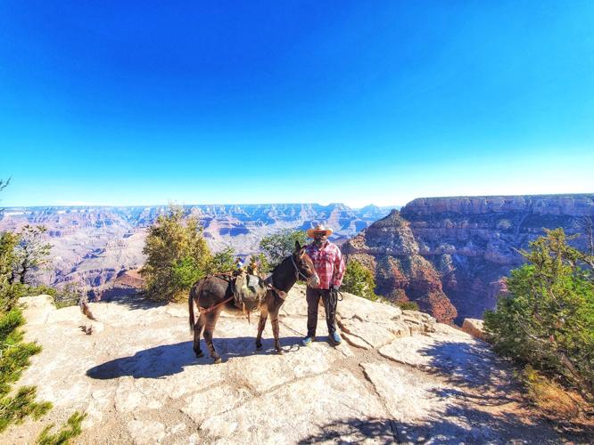 Western Pack Burro Racing Ass-ociation takes Grand Canyon rangers for a ...