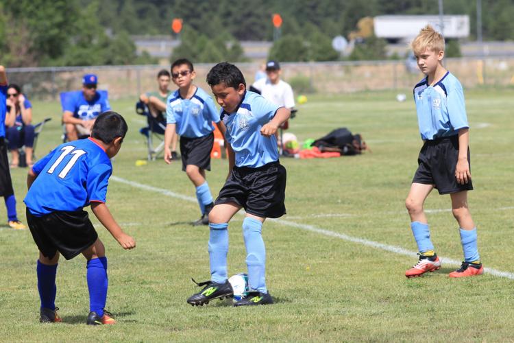 Ayso Soccer July 14 | Photo Galleries | williamsnews.com
