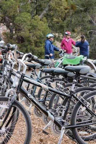 Biking at the Grand Canyon looks bright | Features | williamsnews.com