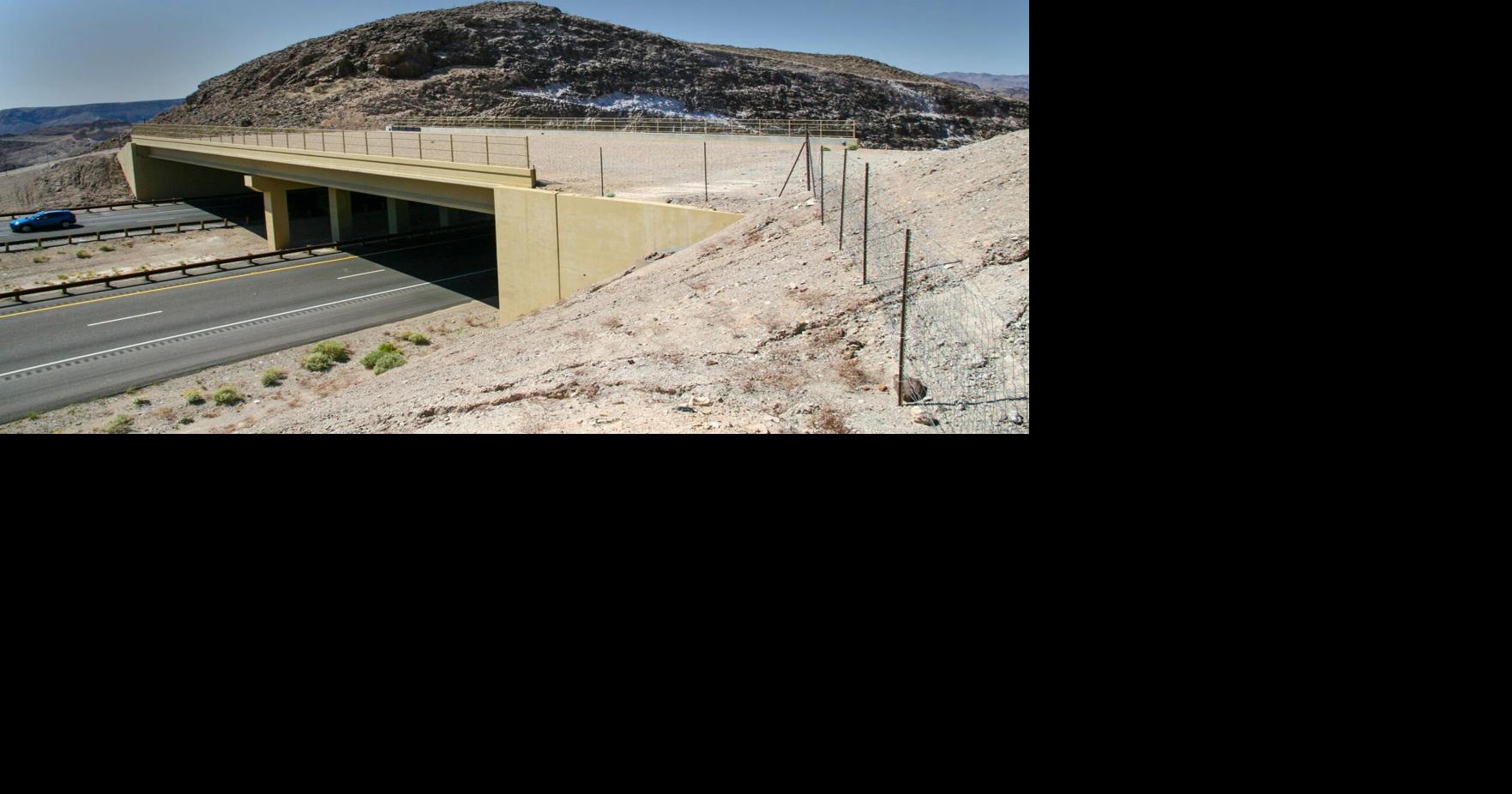 New wildlife highway crossings proposed in Northern Arizona | News ...