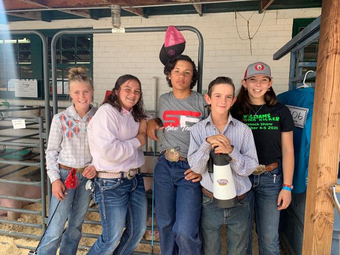 Coconino County Fair 2022 | Photo Galleries | williamsnews.com