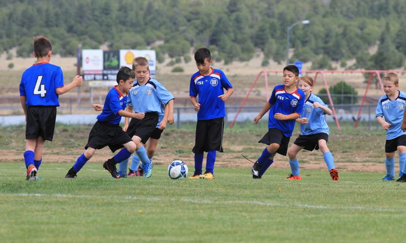 Ayso Soccer July 14 | Photo Galleries | williamsnews.com