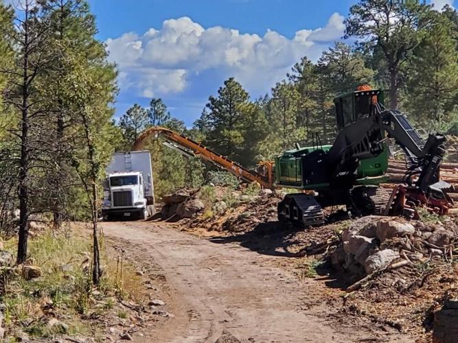 Experts say steep slope thinning on Bill Williams Mountain a success ...