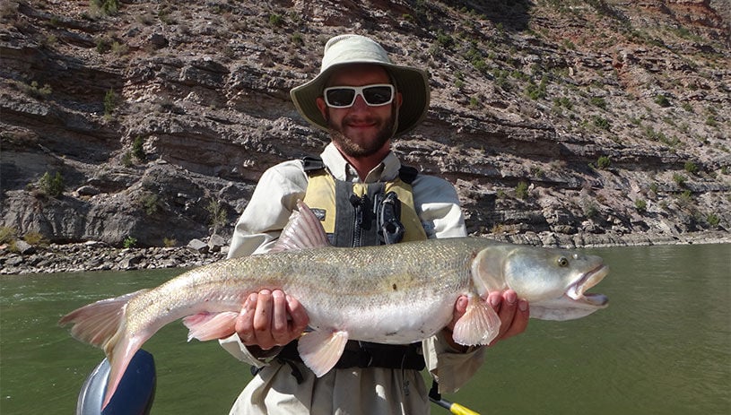 Creature Feature: Native Fish of the Upper Colorado River Basin ...