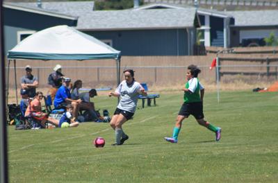 Williams youth soccer returns to the field | Sports | williamsnews.com