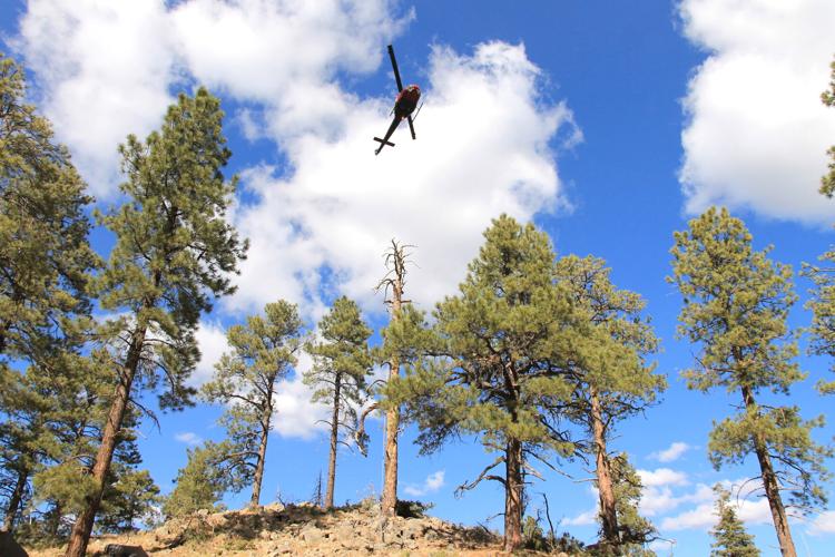 Aerial logging on Bill Williams Mountain | Photo Galleries ...