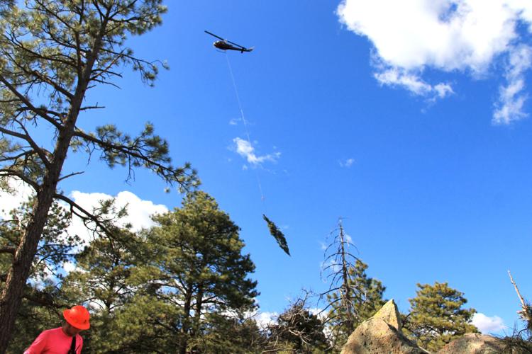 Aerial logging on Bill Williams Mountain | Photo Galleries ...