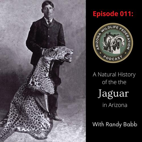 A voice in the wilderness: Arizona Wildlife Federation using podcasting ...