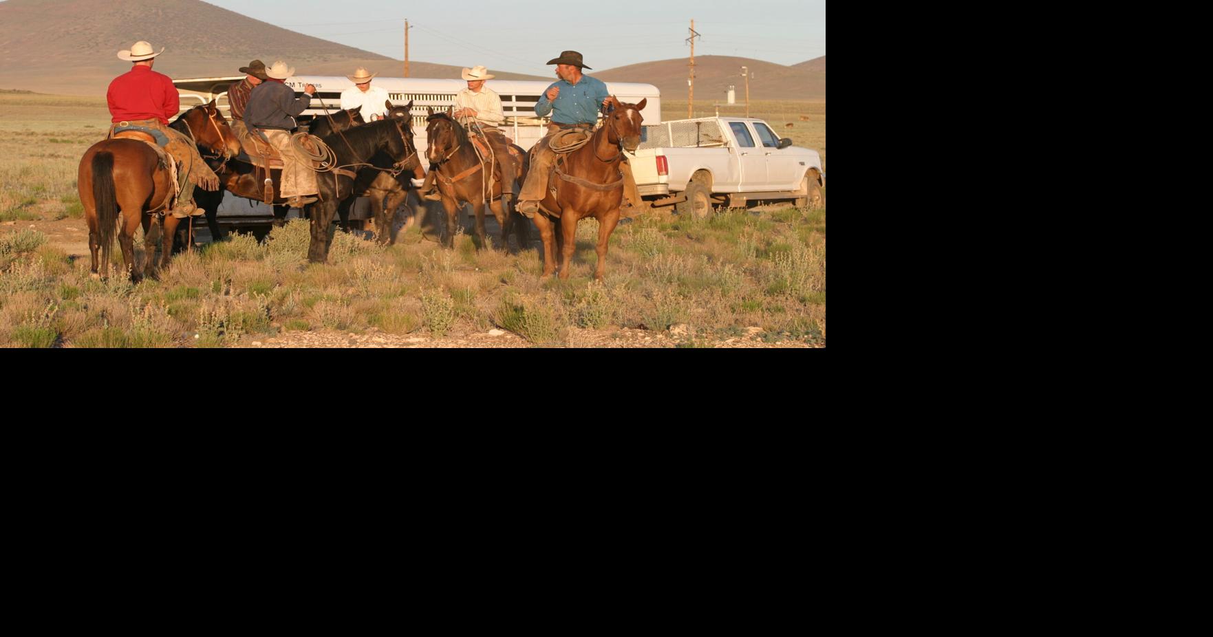 Honoring the past, participating in the future: Babbitt Ranches ...
