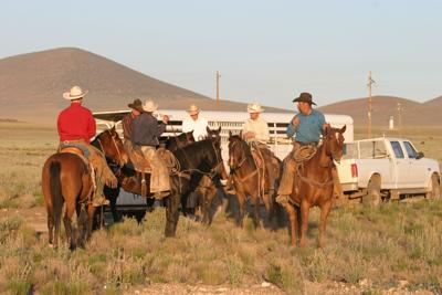 Honoring the past, participating in the future: Babbitt Ranches ...