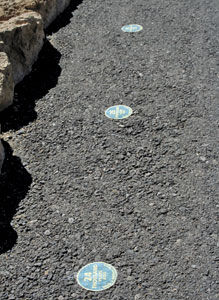 Canyon Corner | Features | williamsnews.com