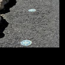 Canyon Corner | Features | williamsnews.com