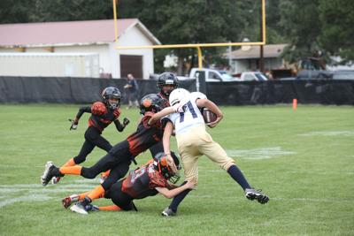 Williams Youth Football Bengals and Tigers hit the field | Sports ...
