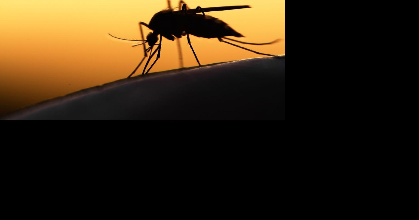 AZGFD: Monsoon moisture brings increased exposure to insect-borne ...