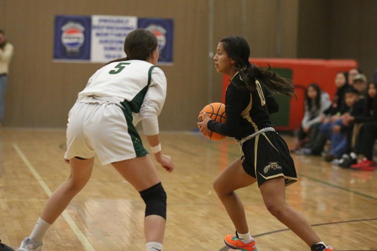 Flagstaff Pepsi basketball tournament | Photo Galleries | williamsnews.com