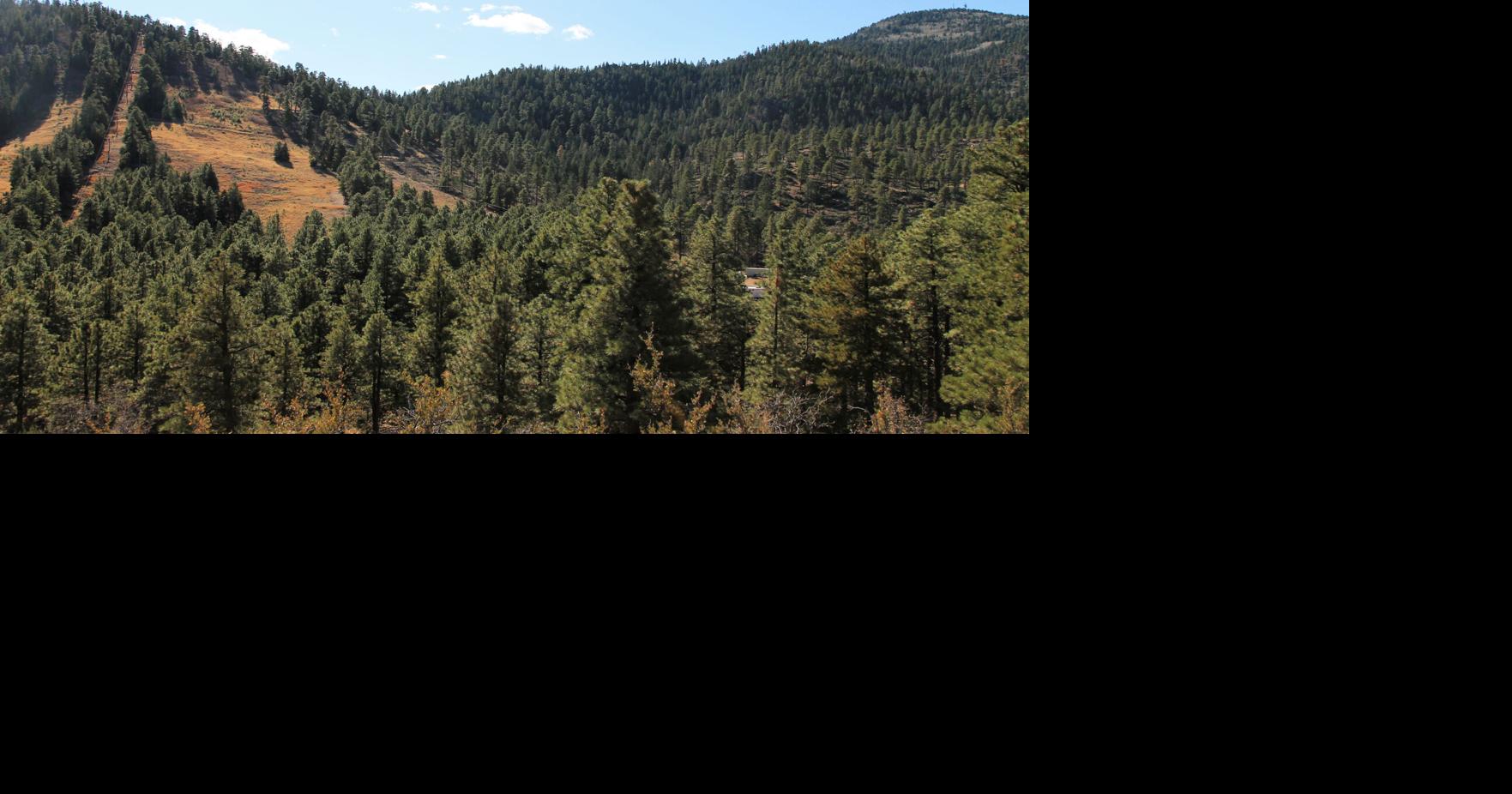 Aerial logging on Bill Williams Mountain | Photo Galleries ...