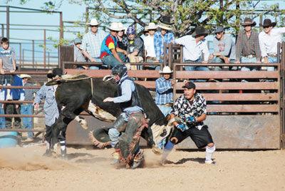 Protection bullfighter uses both brains and brawn to protect riders at ...