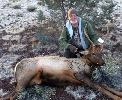 Guest Column: My first elk tried to make himself invisible | Opinion ...