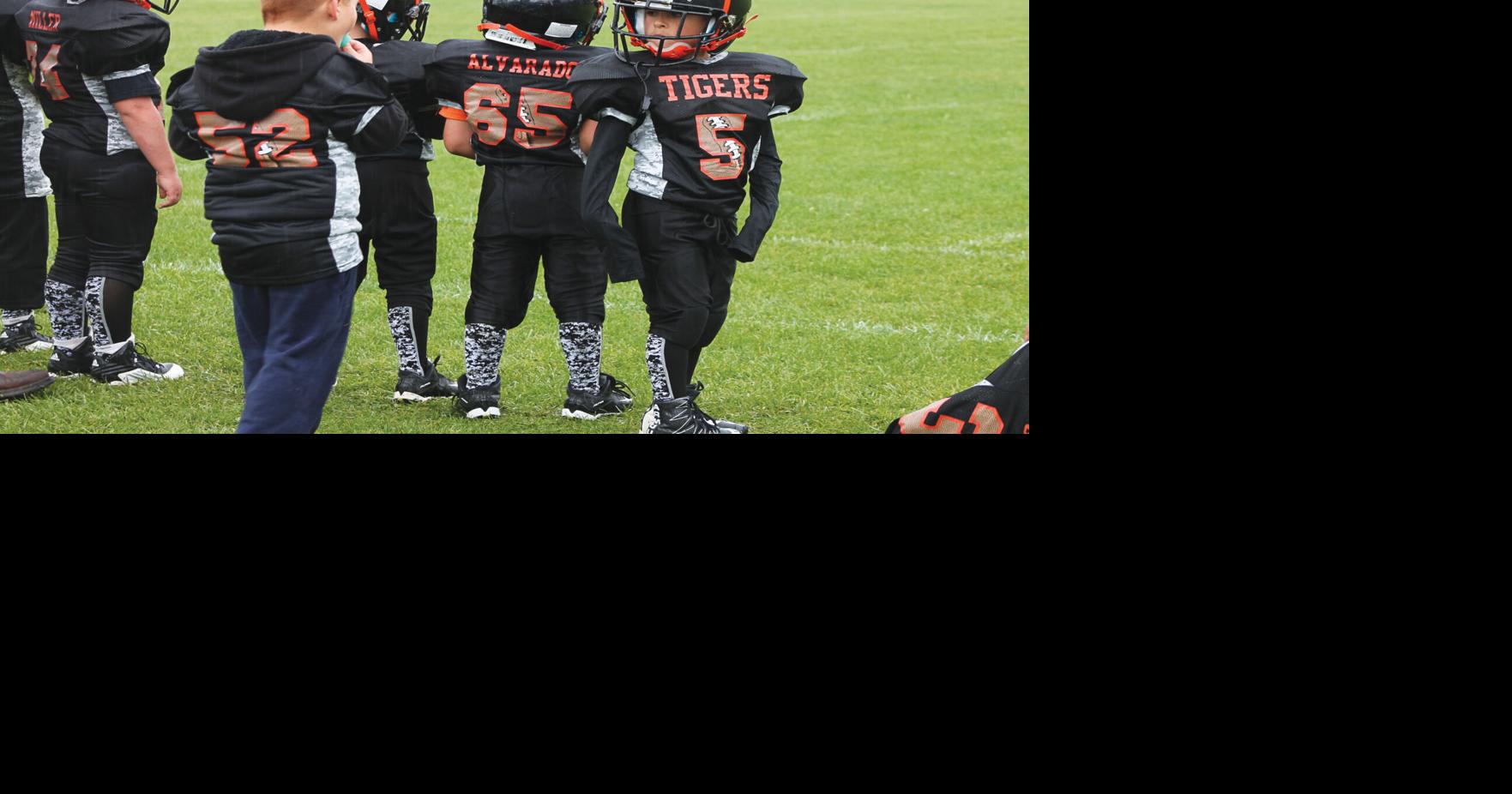 Williams Youth Football and Cheer registration begins | Sports ...