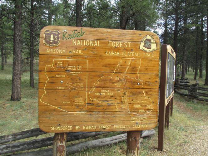 Out and about: hiking the Arizona Trail from Jacob Lake | Grand Canyon ...