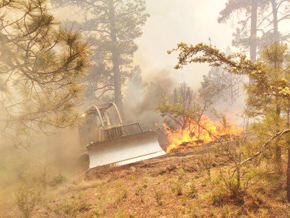 Mangum Fire on North Kaibab Plateau June 2020 | Multimedia ...