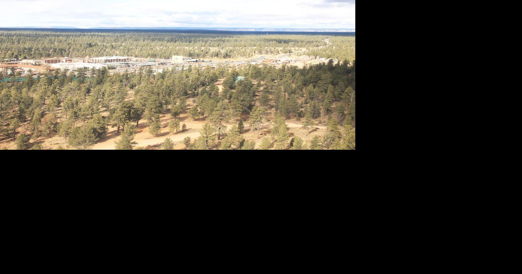 Tusayan mayor, council seats on July 30 primary election ballot | Grand Canyon Local News ...