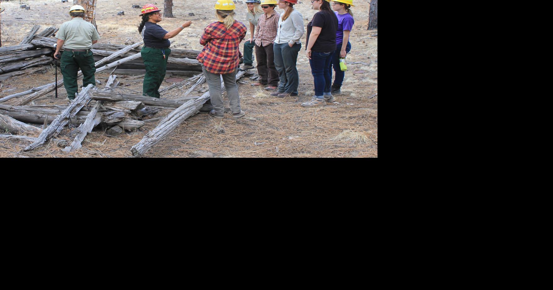 Forest Service hiring for 2019 field season | News | williamsnews.com