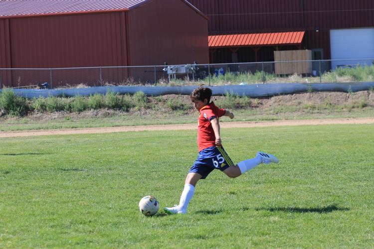 Williams High School soccer kicks up new season | Sports | williamsnews.com