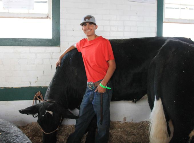 Coconino County Fair 4 H | Photo Galleries | williamsnews.com