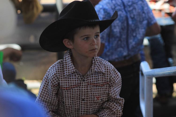 Thrills and spills at Cowpunchers: 46th Annual Cowpunchers Reunion ...