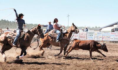 Cowpunchers Rodeo returns to Williams Friday-Sunday | Features ...