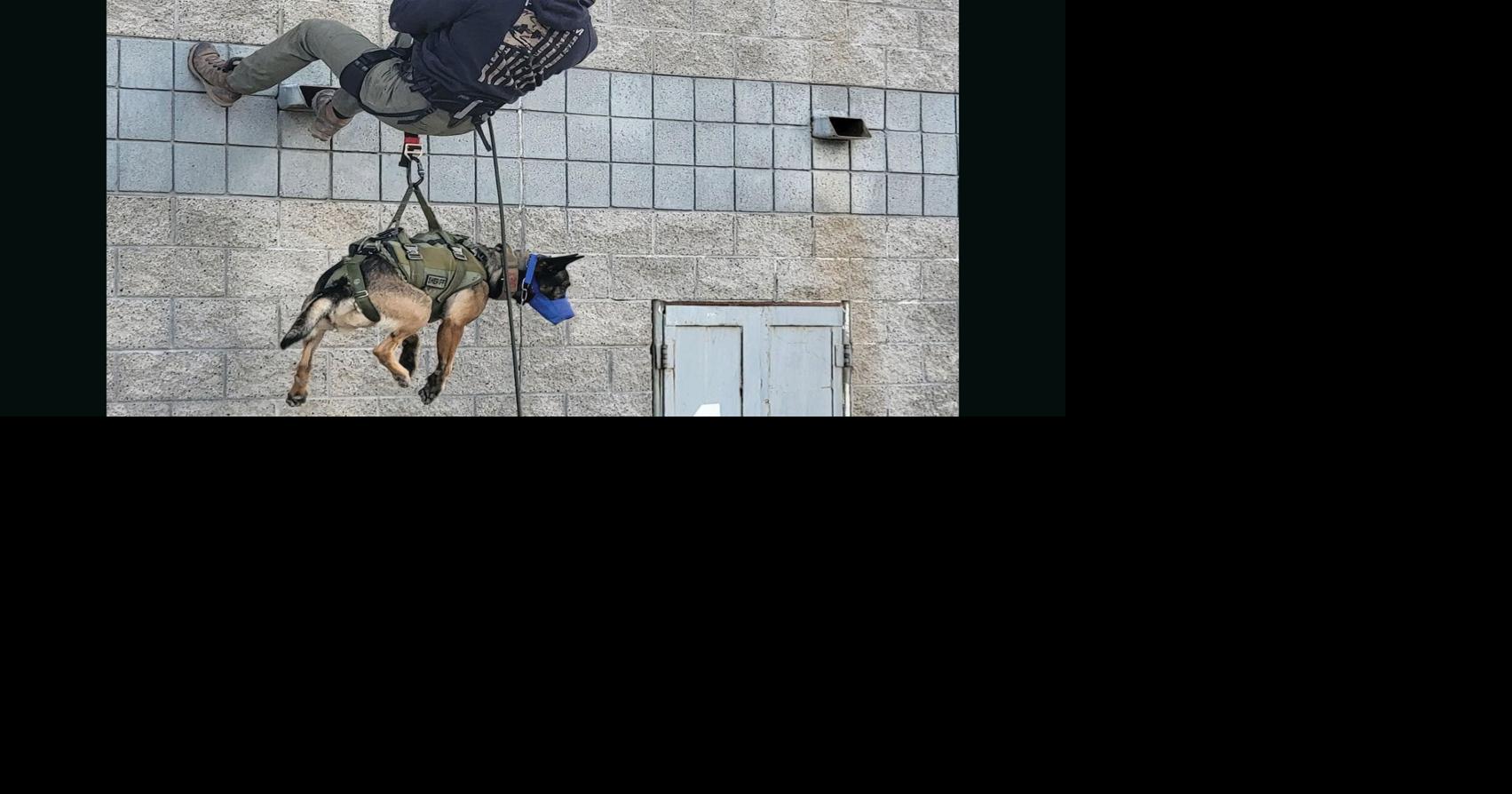 CCSO K9 team takes on new heights at seminar | Features | williamsnews.com