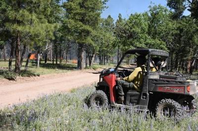 Prescribed burn activity to continue on Tusayan Ranger District | Grand ...