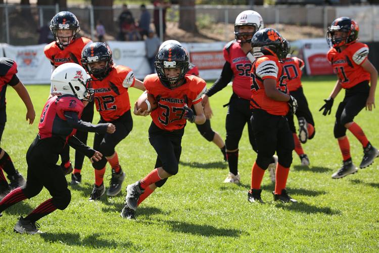 Williams Youth Football vs. Page | Photo Galleries | williamsnews.com