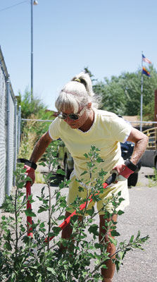 Photo: Way to go, Carol! | Features | williamsnews.com
