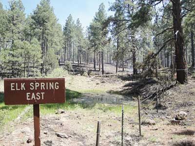 Eagle Rock fire reaches 100 percent containment | News | williamsnews.com