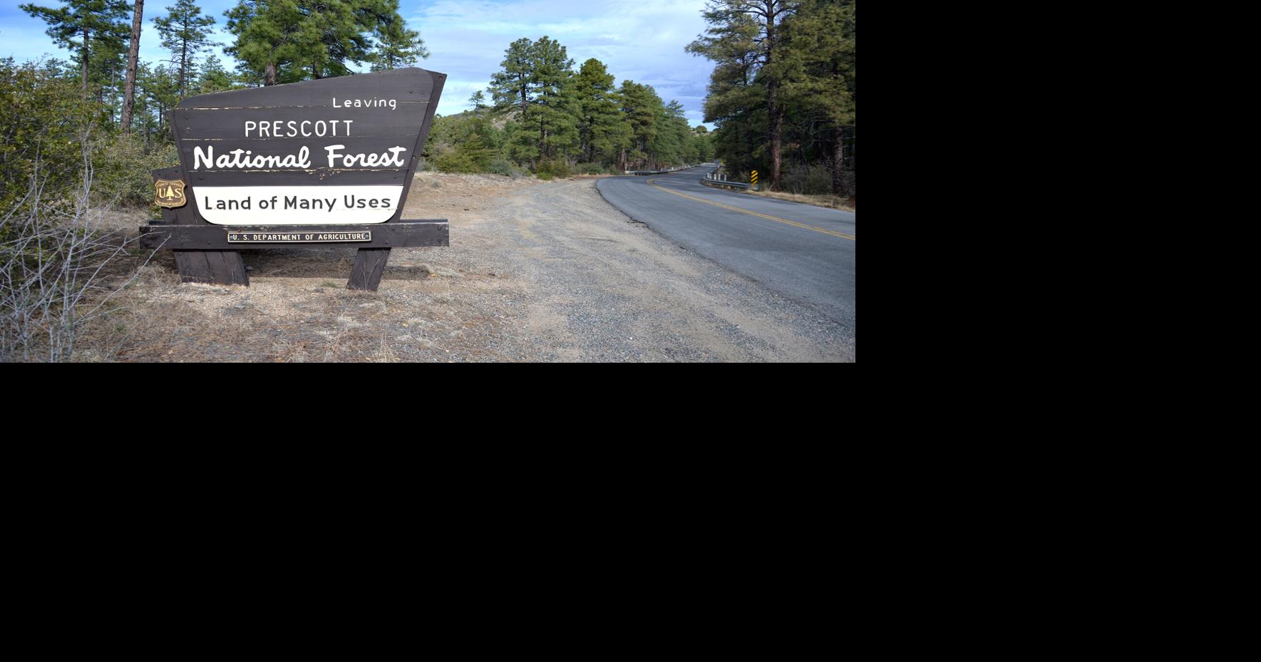 Forest officials implement 2-year closure for camping and motor vehicle ...