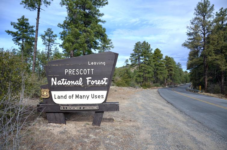 Forest officials implement 2-year closure for camping and motor vehicle ...