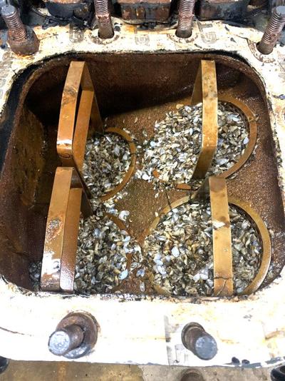 Glen Canyon Dam installs UV light technology to combat quagga mussels ...