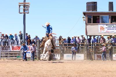 Cowpuncher's Reunion Rodeo returns to Williams June 15-17 | News ...