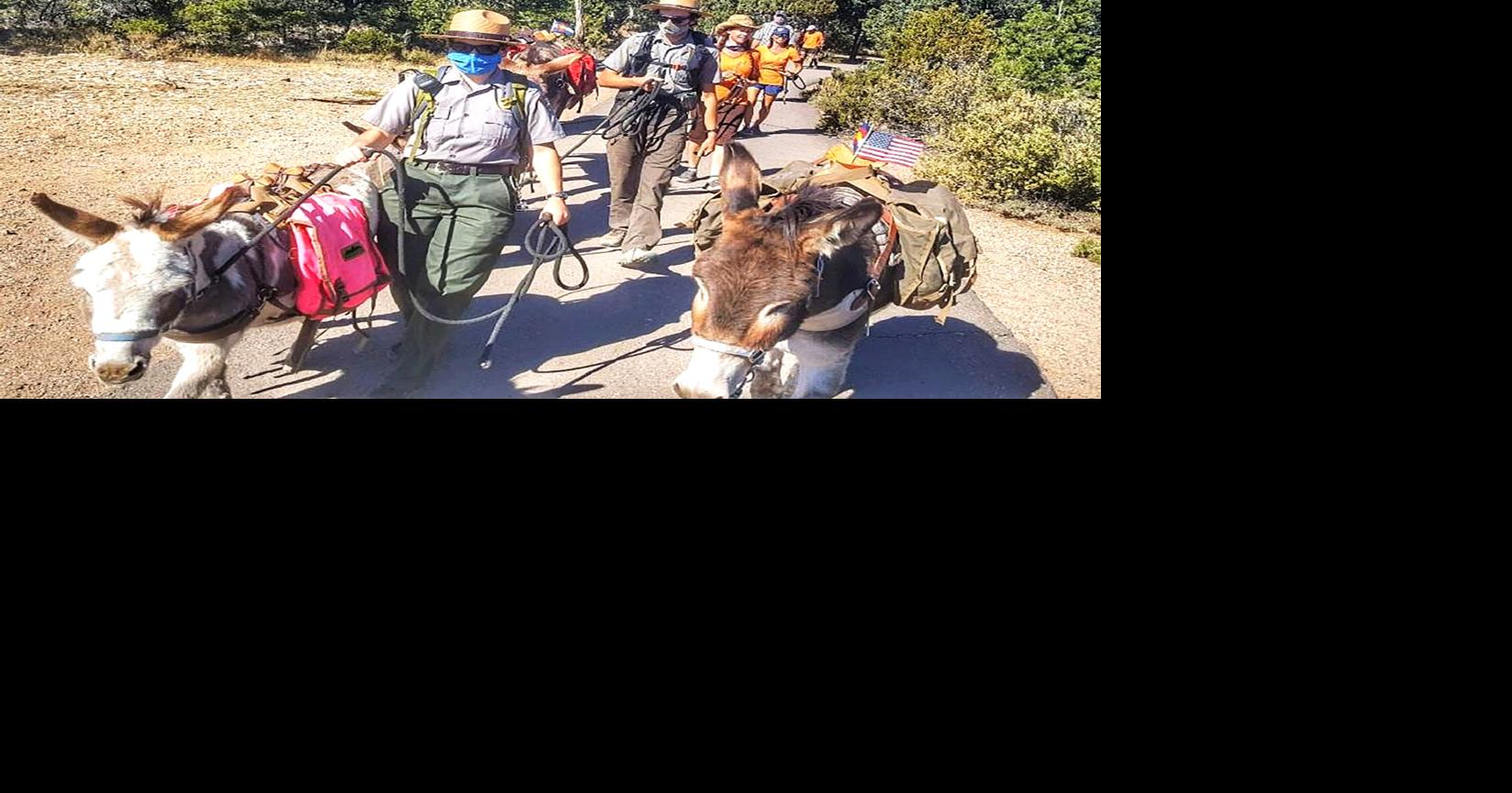 Western Pack Burro Racing Ass-ociation takes Grand Canyon rangers for a ...