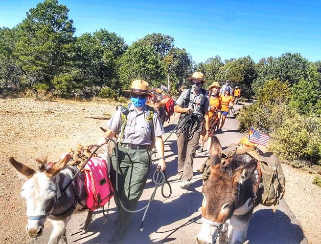 Western Pack Burro Racing Ass-ociation takes Grand Canyon rangers for a ...